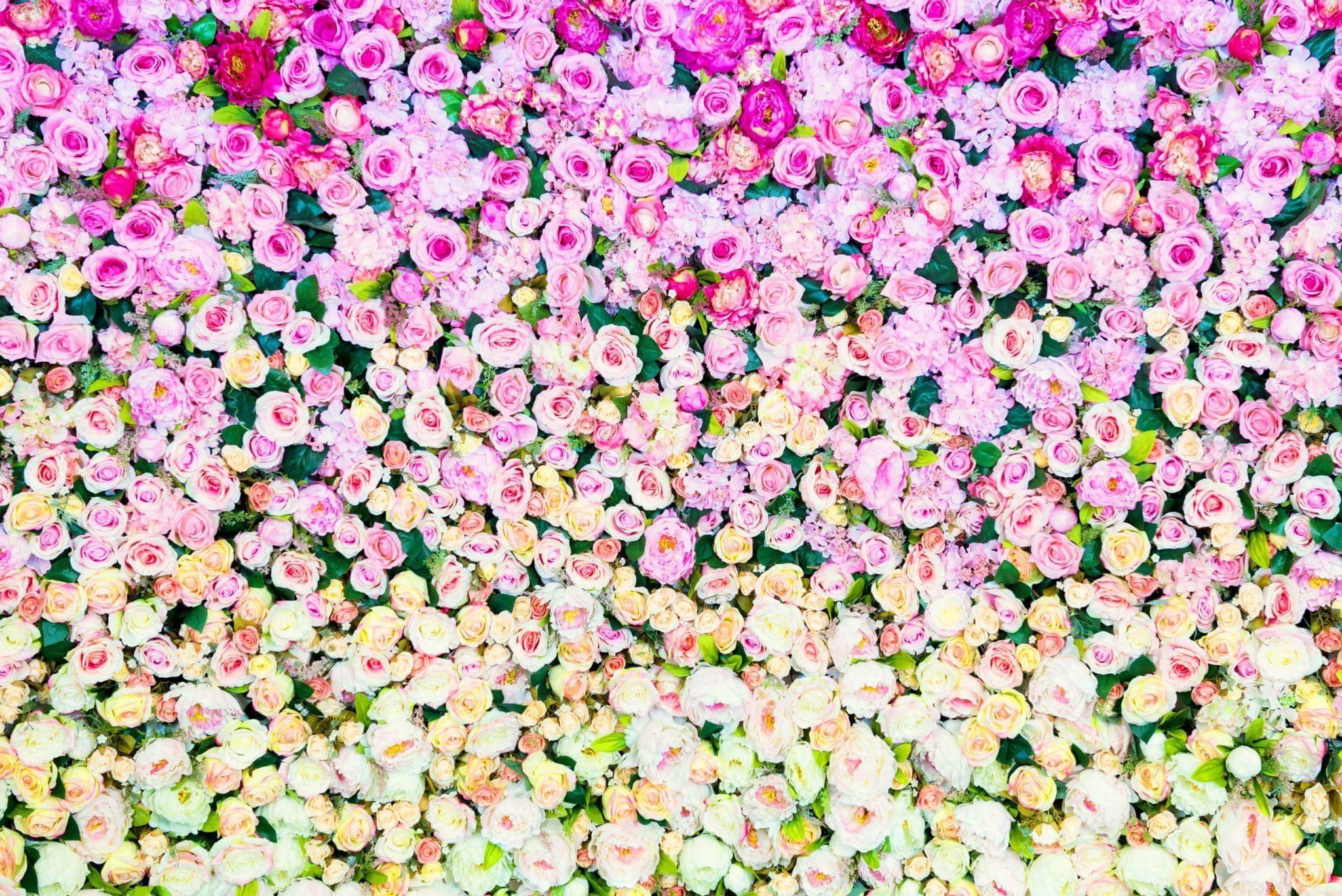 The Best Photo Booth Custom Backdrops For Your Events